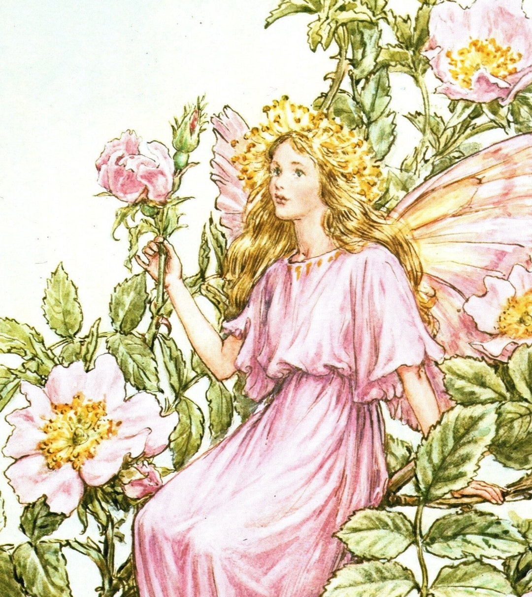 1981 Flower Fairies of the Seasons Original Vintage Print - Cicely Mary ...