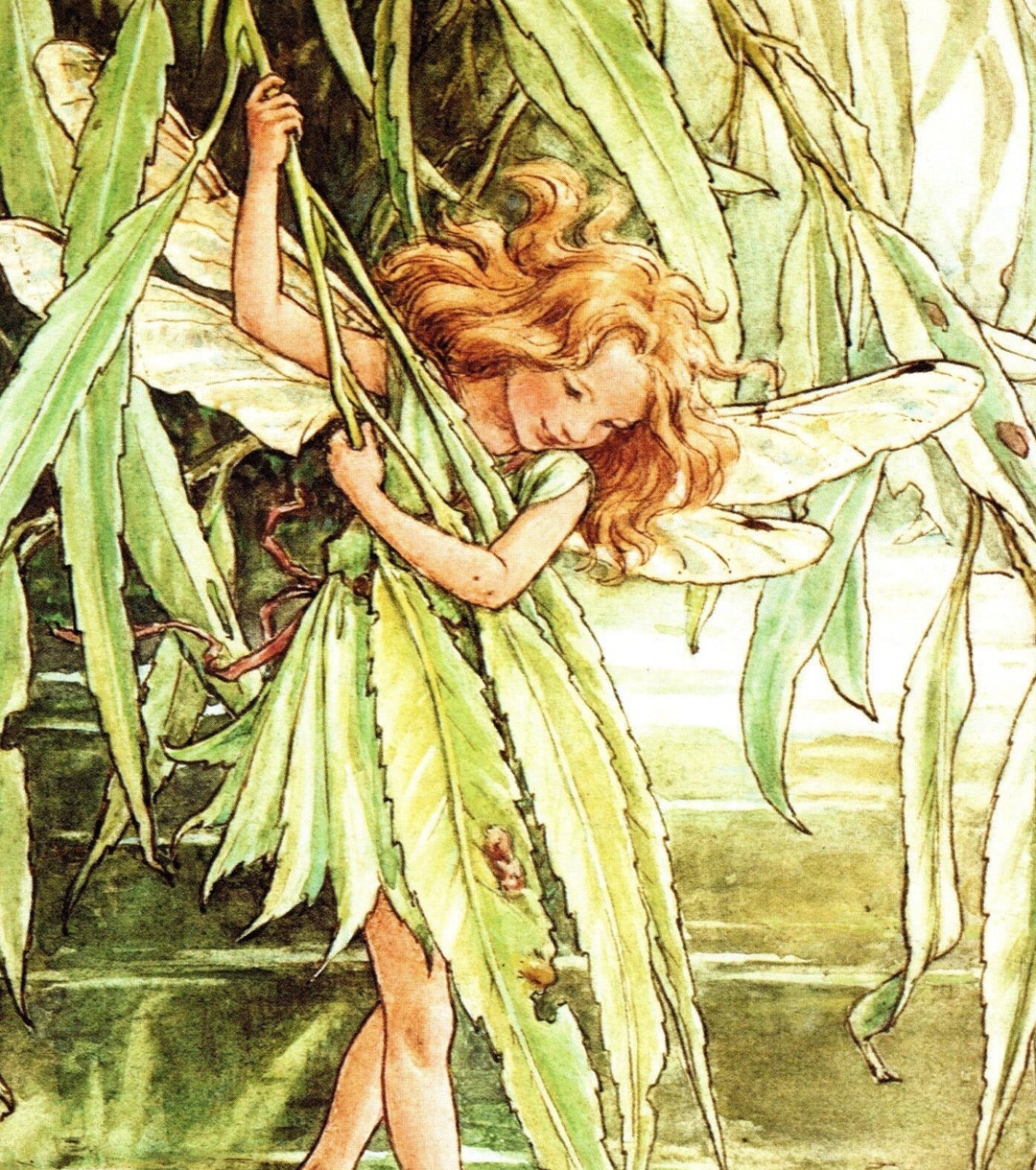 1981 Flower Fairies of the Seasons Original Vintage Print - Cicely Mary ...