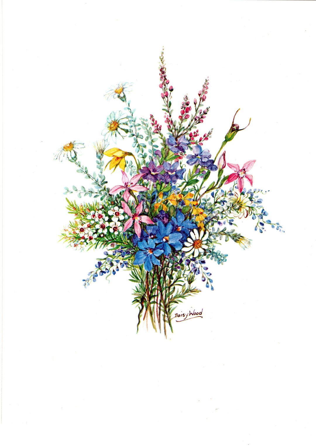 Australian Native Botanical Vintage Print - Wildflower Mixed Posy ...