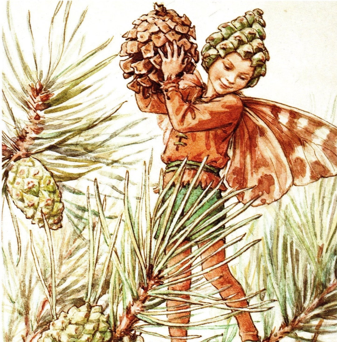 1981 Flower Fairies of the Seasons Original Vintage Print - Cicely Mary ...