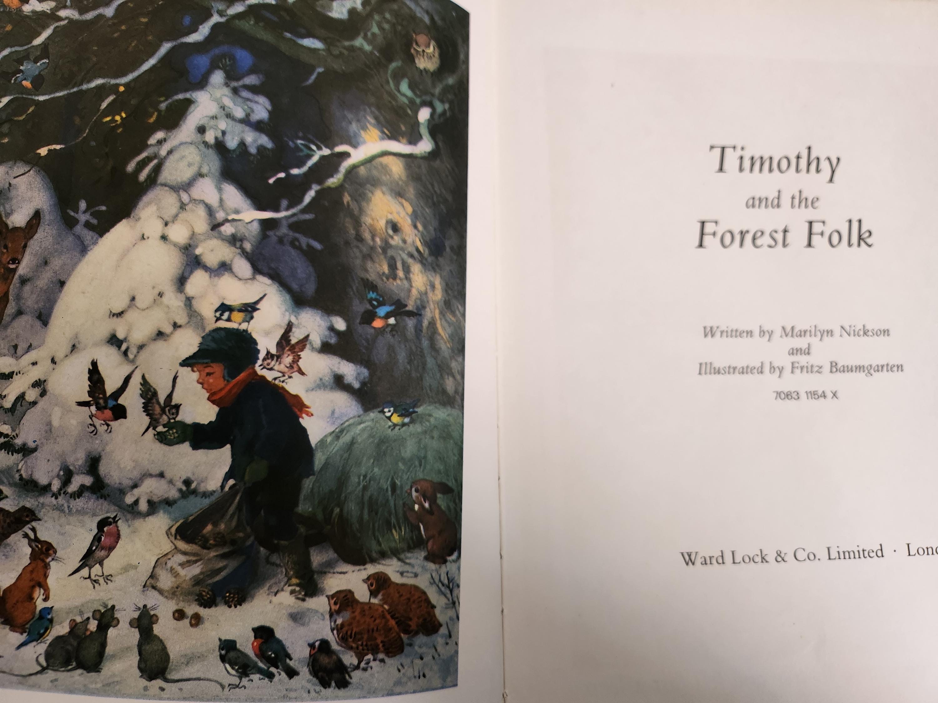 1968 timothy and the Forest Folk Book Fritz Baumgarten Illustrator ...