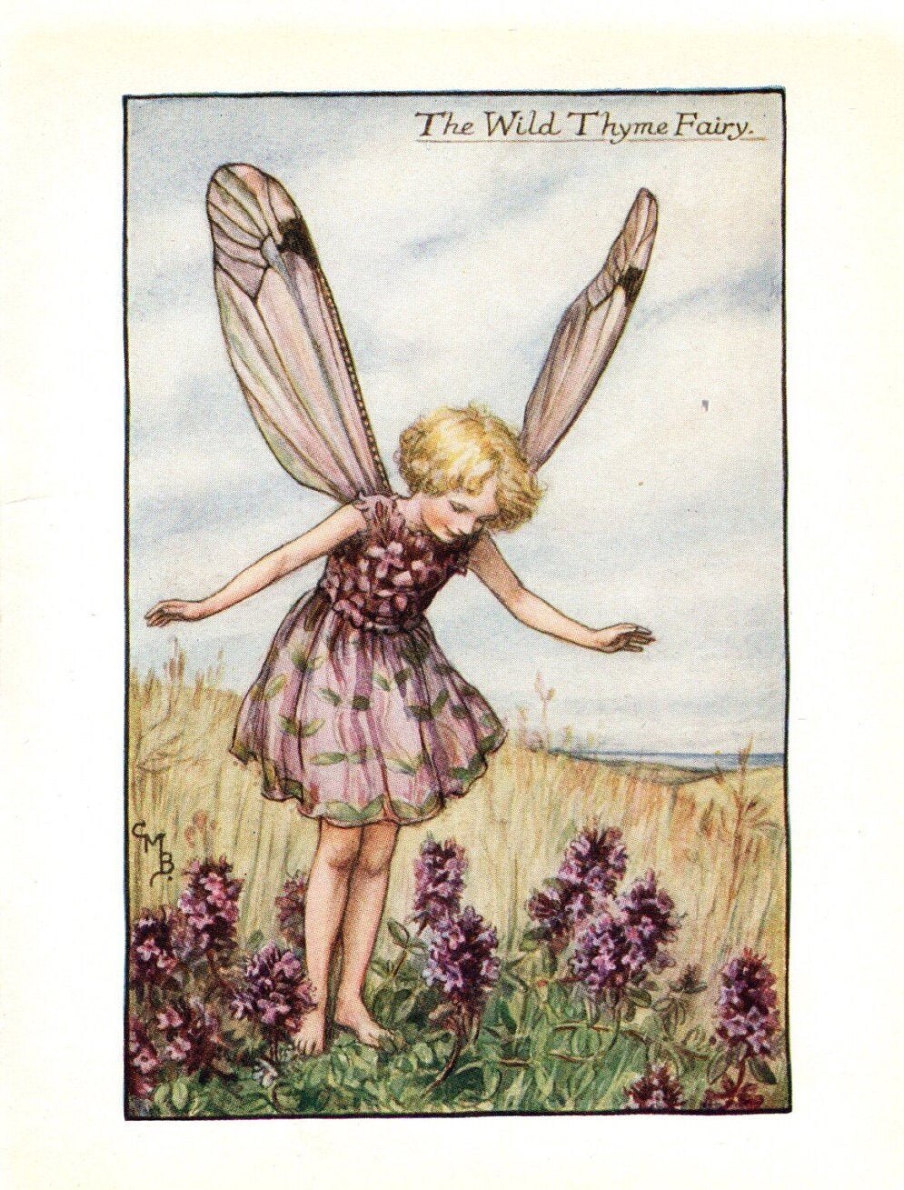 1950 Cicely Mary Barker flower Fairies of the Summer the | Etsy