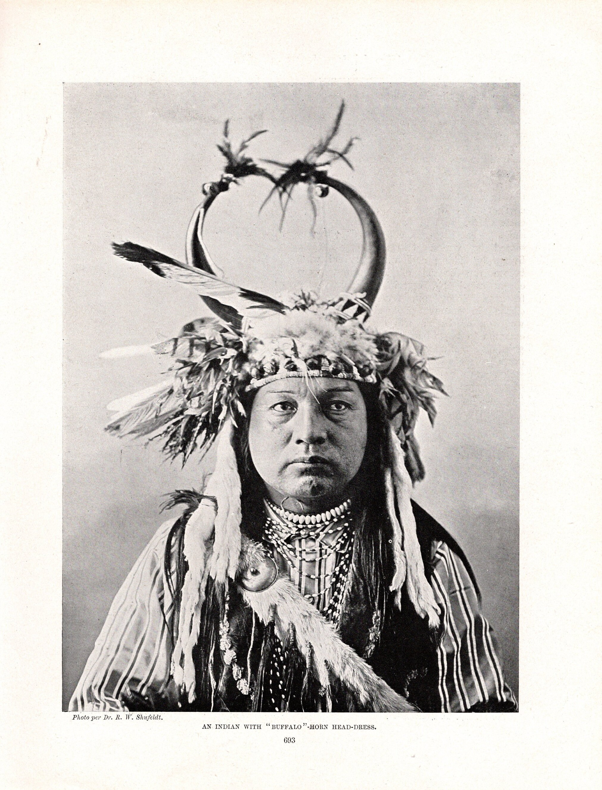 Native American Antler Headdress