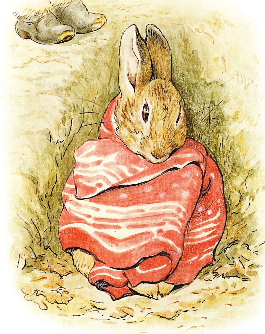 1982 Beatrix Potter Peter Rabbit Adventures Original Large Vintage ...