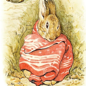 1982 Beatrix Potter Peter Rabbit Adventures - Original Large Vintage ...