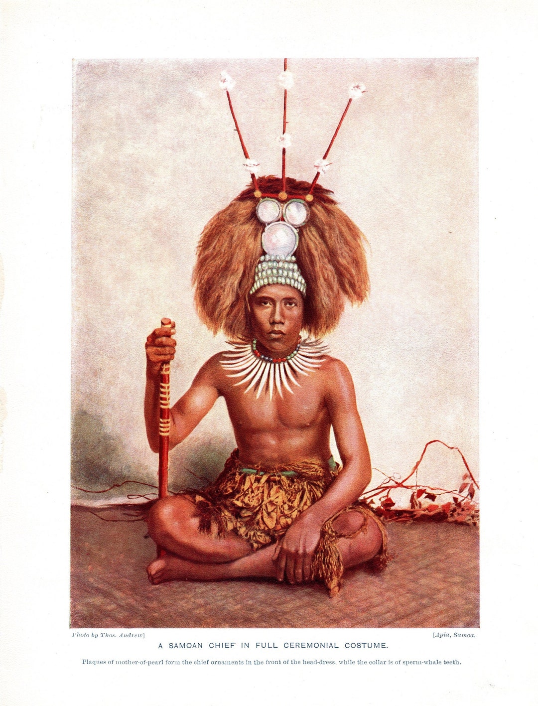 1910 Samoan Chief Print: Ceremonial Costume, Ethnology Anthropology - Etsy