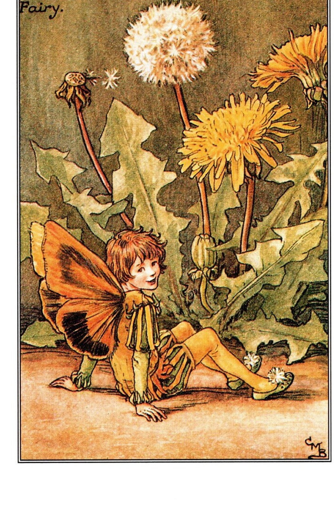 1997 Flower Fairies of the Spring Original 2-sided Vintage Print ...