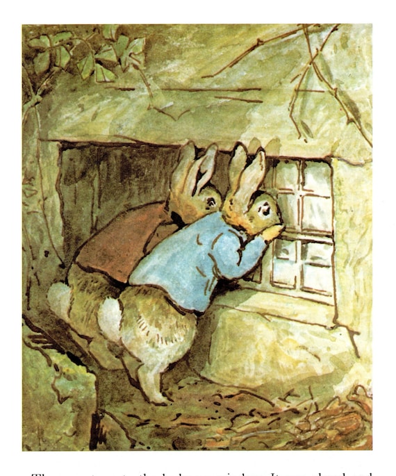 1984 Beatrix Potter Peter Rabbit & Benjamin Bunny Original | Etsy