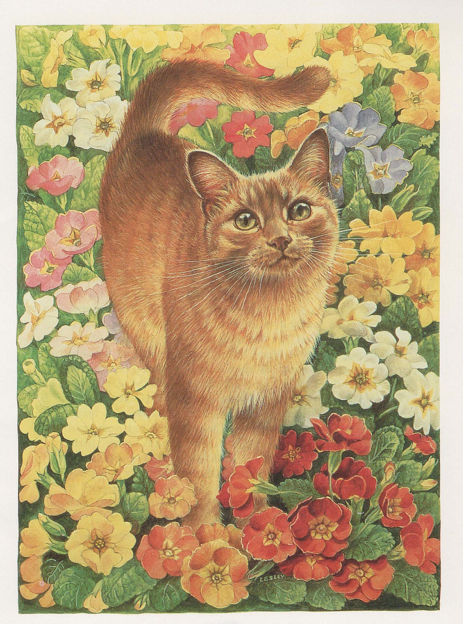 Lesley Anne Ivory glorious Cats 1991 Original Vintage | Etsy