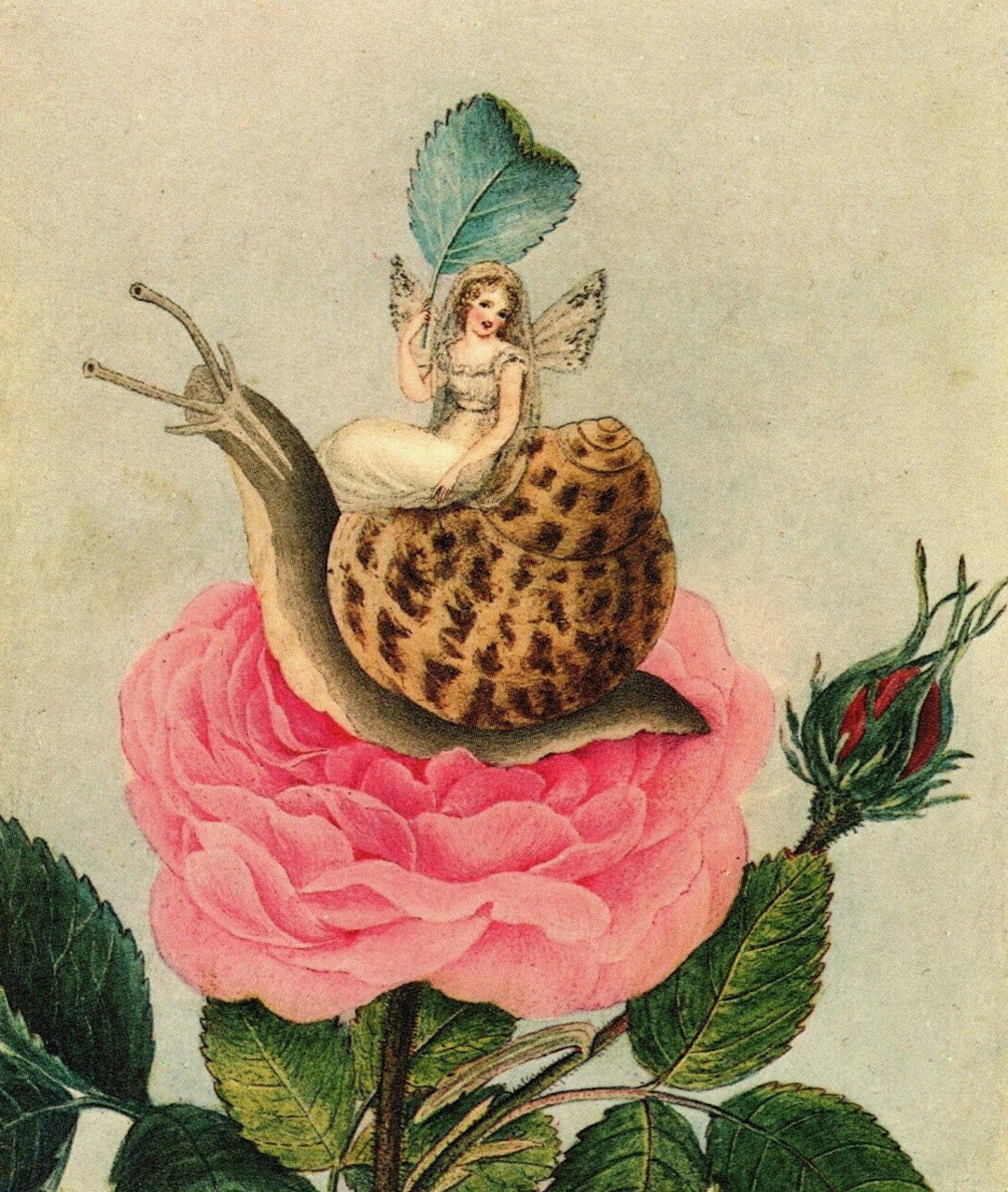 Victorian Fairies Original Print Amelia Jane Murray Regency Style Art ...