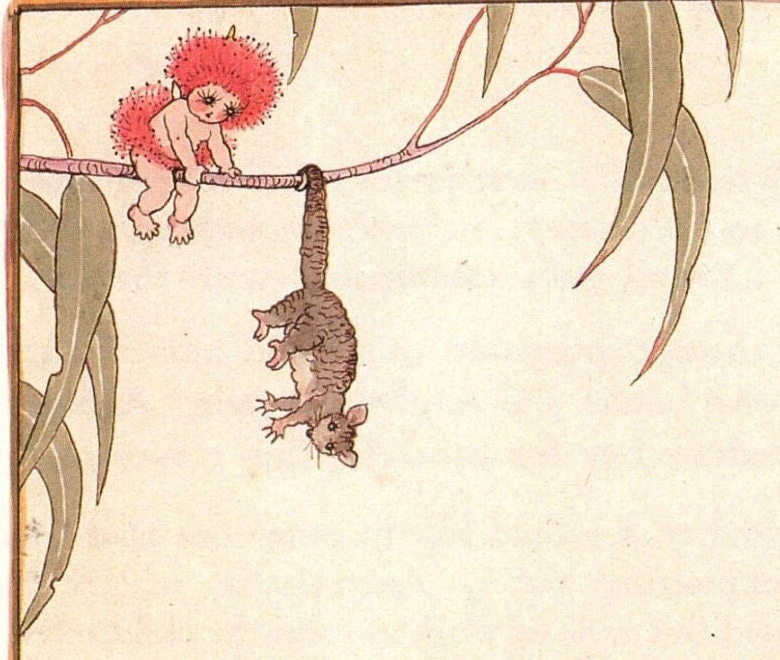 May Gibbs Vintage Gumnut Print: Australian Bush Fairies Art - Etsy