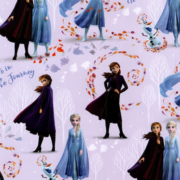 Frozen Gift Wrap - 60+ Gift Ideas for 2024