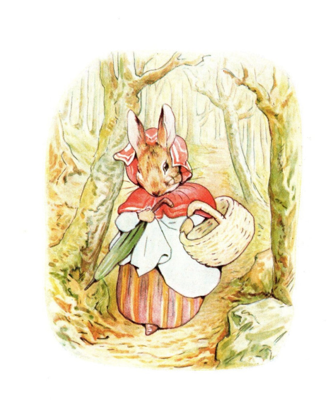 1902 Beatrix Potter the Tale of Peter Rabbit Original 2-sided Print ...