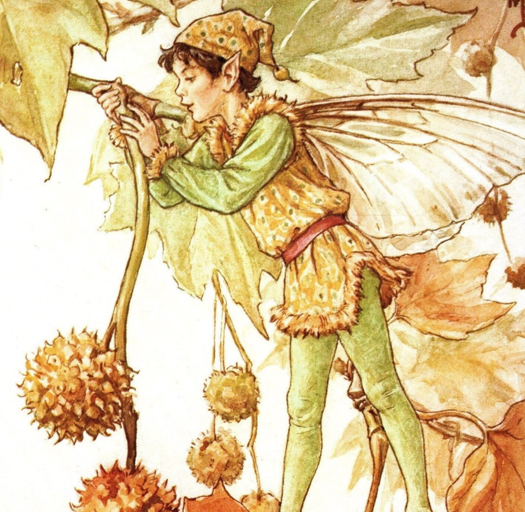 1981 Flower Fairies of the Seasons Original Vintage Print Cicely Mary ...