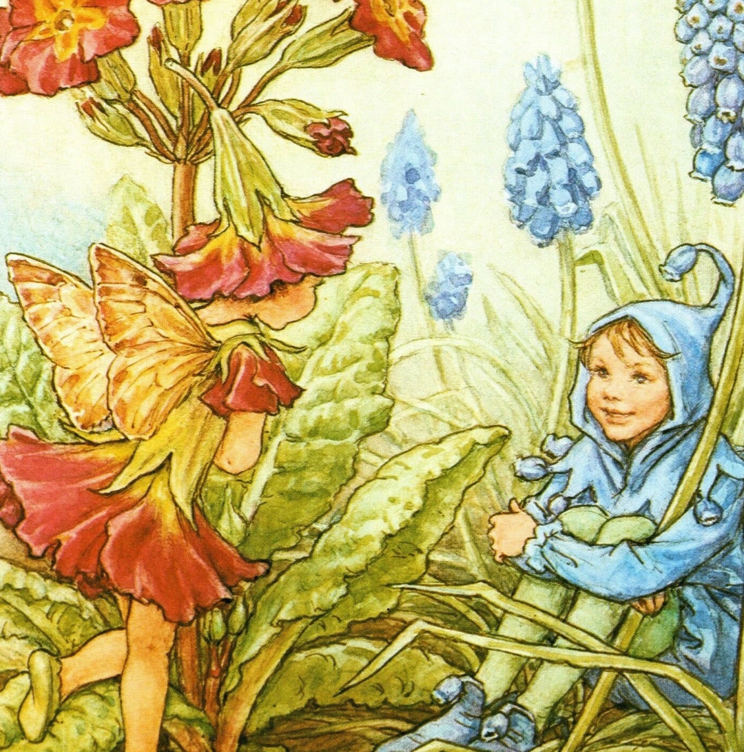 1981 Flower Fairies of the Seasons Original Vintage Print - Cicely Mary ...