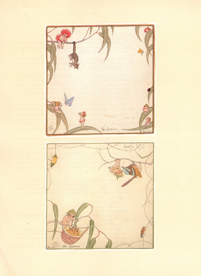 May Gibbs Vintage Gumnut Print: Australian Bush Fairies Art - Etsy