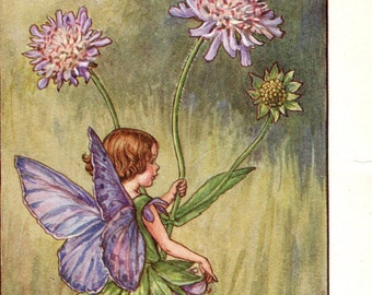 Flower Fairies of the Garden Cicely Mary Barker Original | Etsy