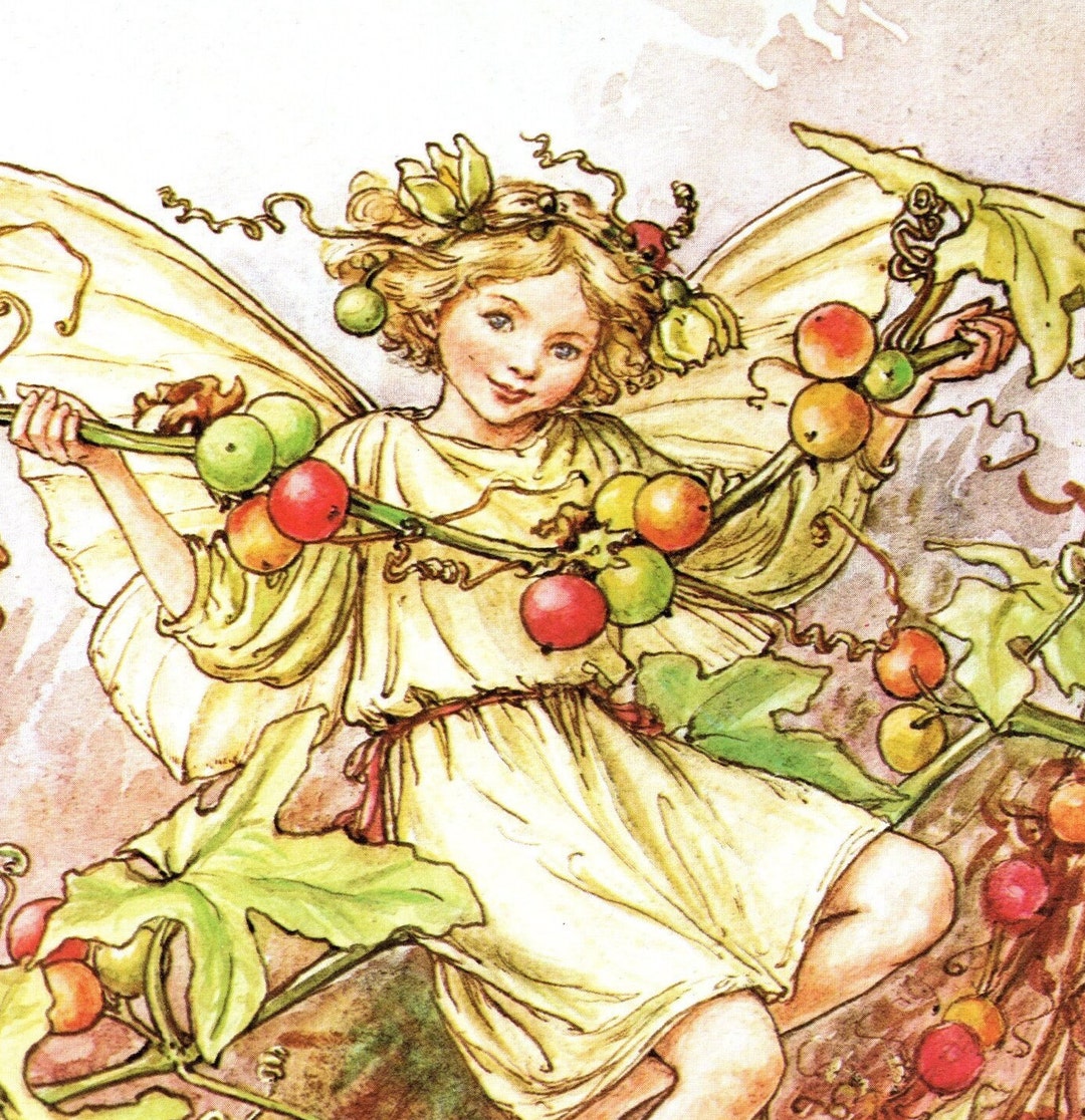 1981 Flower Fairies of the Seasons Original Vintage Print - Cicely Mary ...