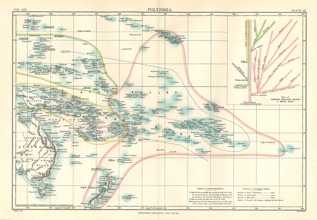 Antique Polynesia Map Print: 19th Century Encyclopaedia Britannica - Etsy
