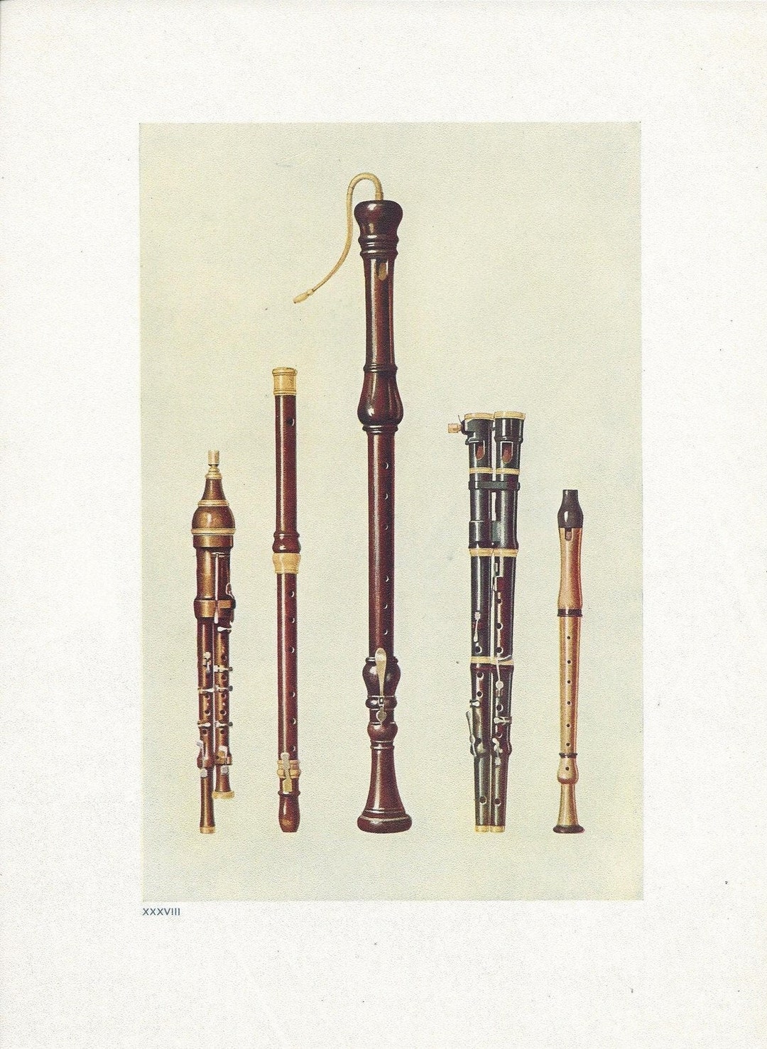1921 Original Antique DOUBLE FLAGEOLETS and FLUTES Print From musical ...