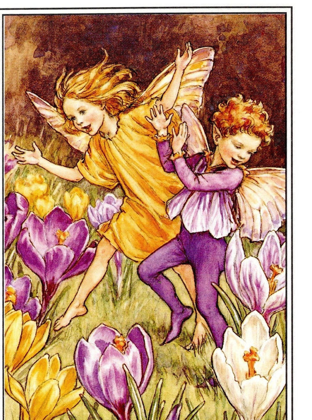 Flower Fairies of the Spring - Cicely Mary Barker - Crocus Fairies ...