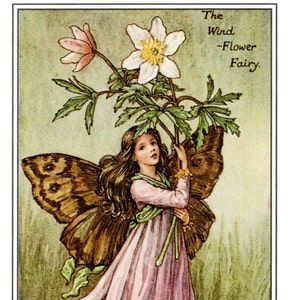 Flower Fairies of the Spring - Cicely Mary Barker - Windflower Fairy ...
