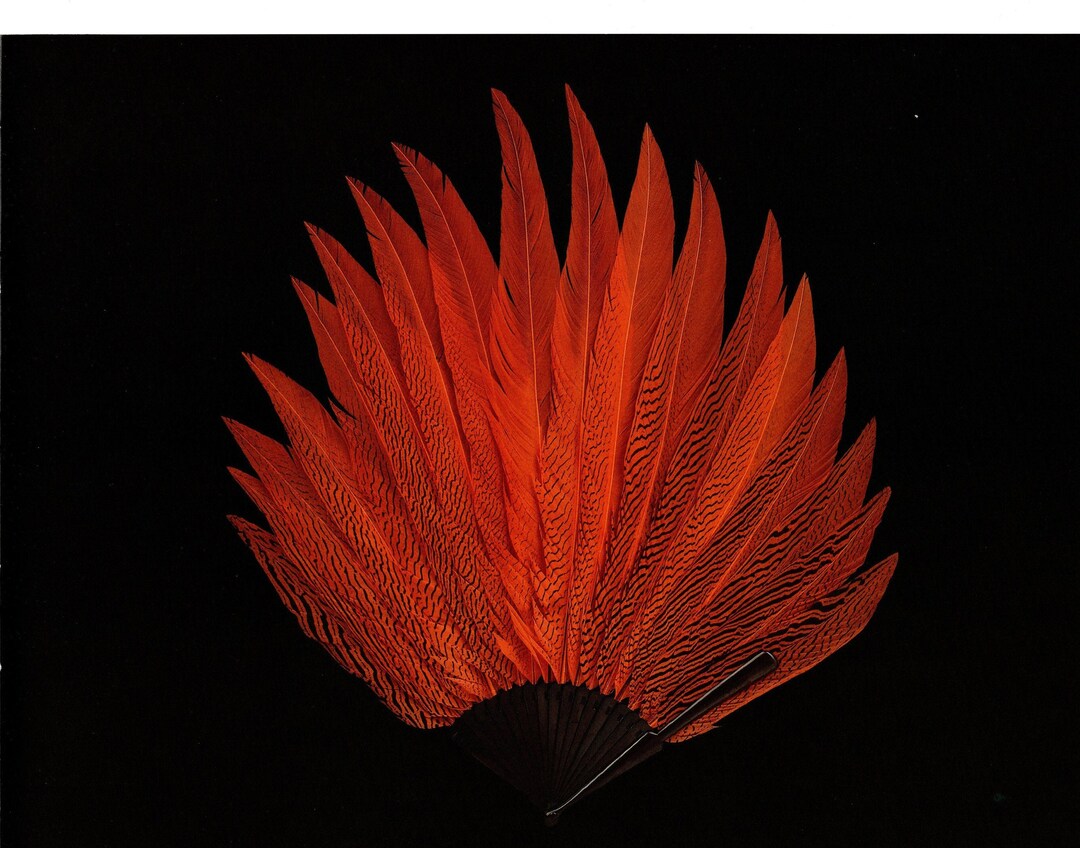 Antique Fan Art Print: "tiger Feathers" - Museum of Fine Arts, Boston ...