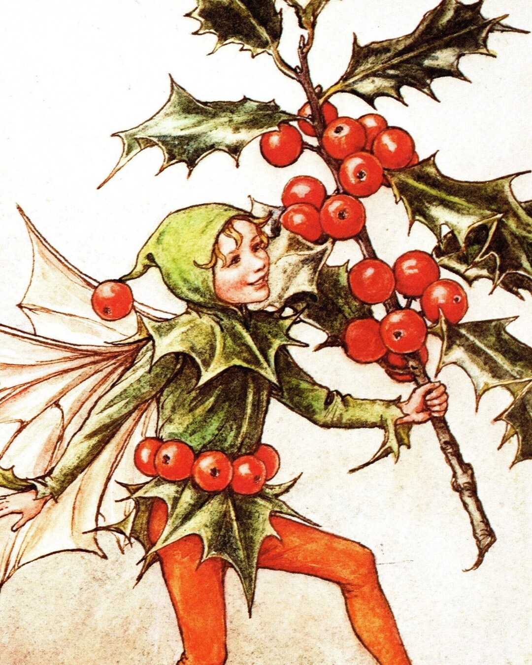 1981 Flower Fairies of the Seasons Original Vintage Print Cicely Mary ...