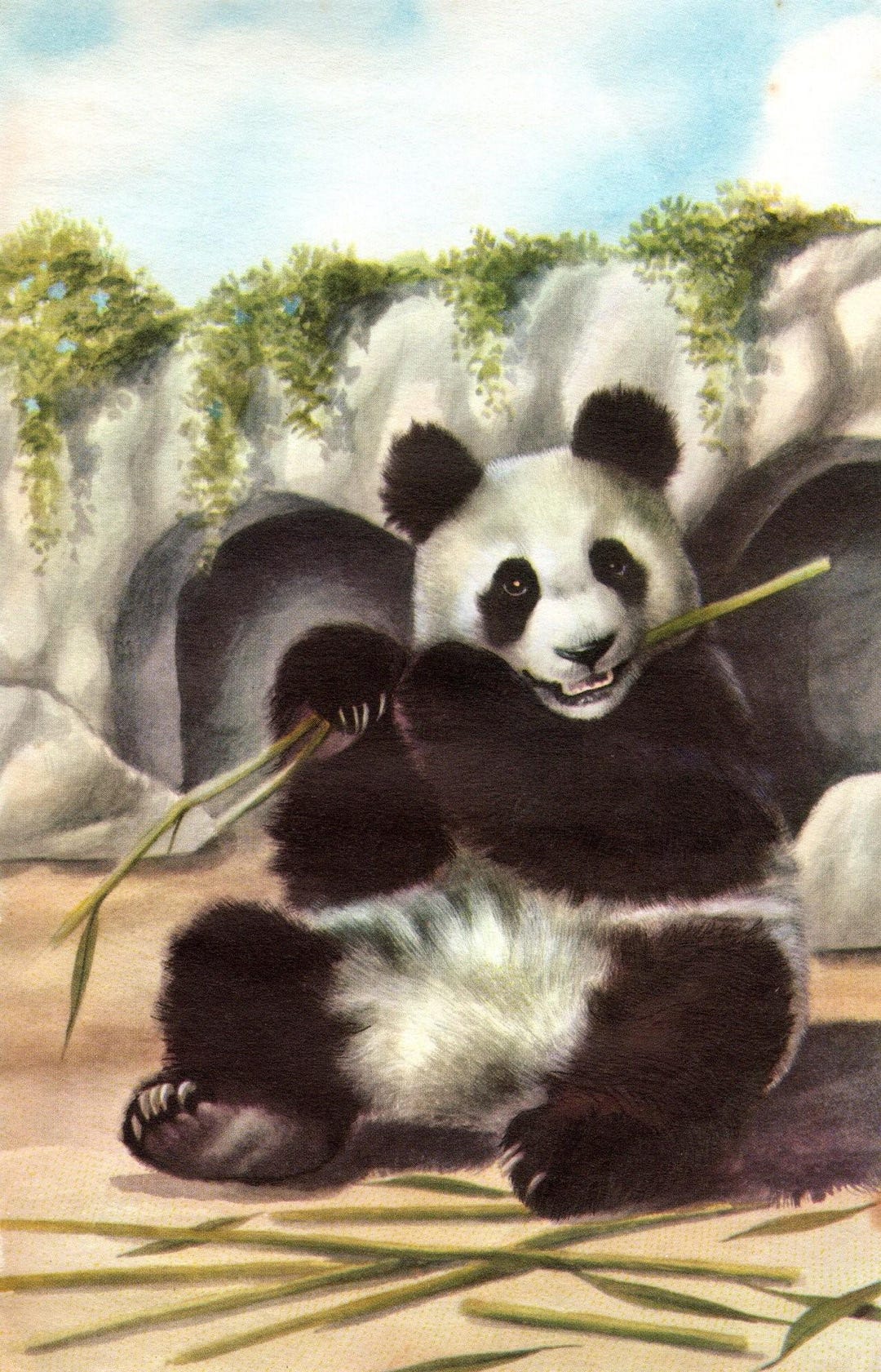 1960 Zoo Animals Original Vintage Prints - Cute Panda Nursery Art ...