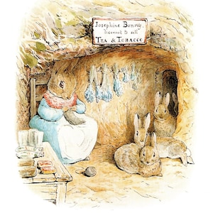 1982 Beatrix Potter Peter Rabbit Adventures - Original Large Vintage 2 ...