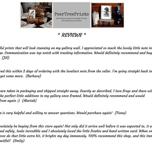 1910 CONGO WARRIOR (MULOLO) and His Wife From the Central Congo Regions ...