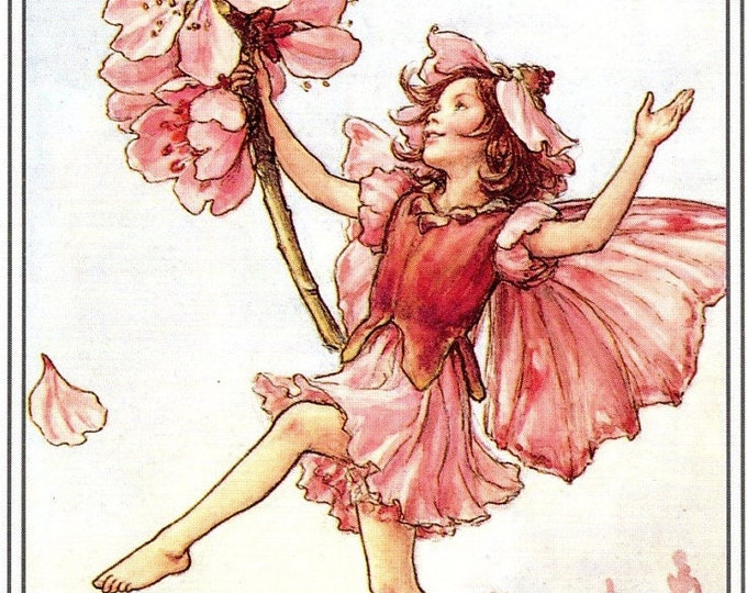Flower Fairies of the Trees - Cicely Mary Barker - Almond Blossom Fairy ...