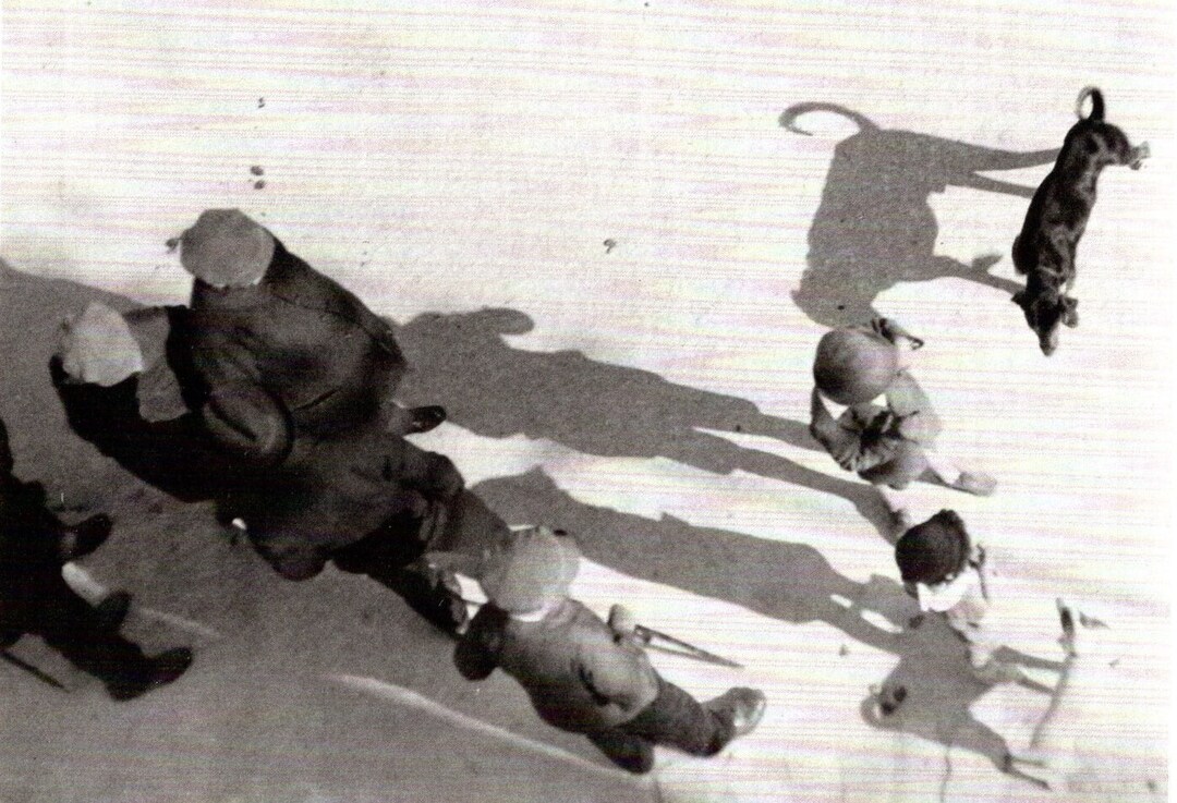 André Kertész Original Vintage Photo Print J. Paul Getty Museum Study ...