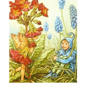 1981 Flower Fairies of the Seasons Original Vintage Print - Cicely Mary ...