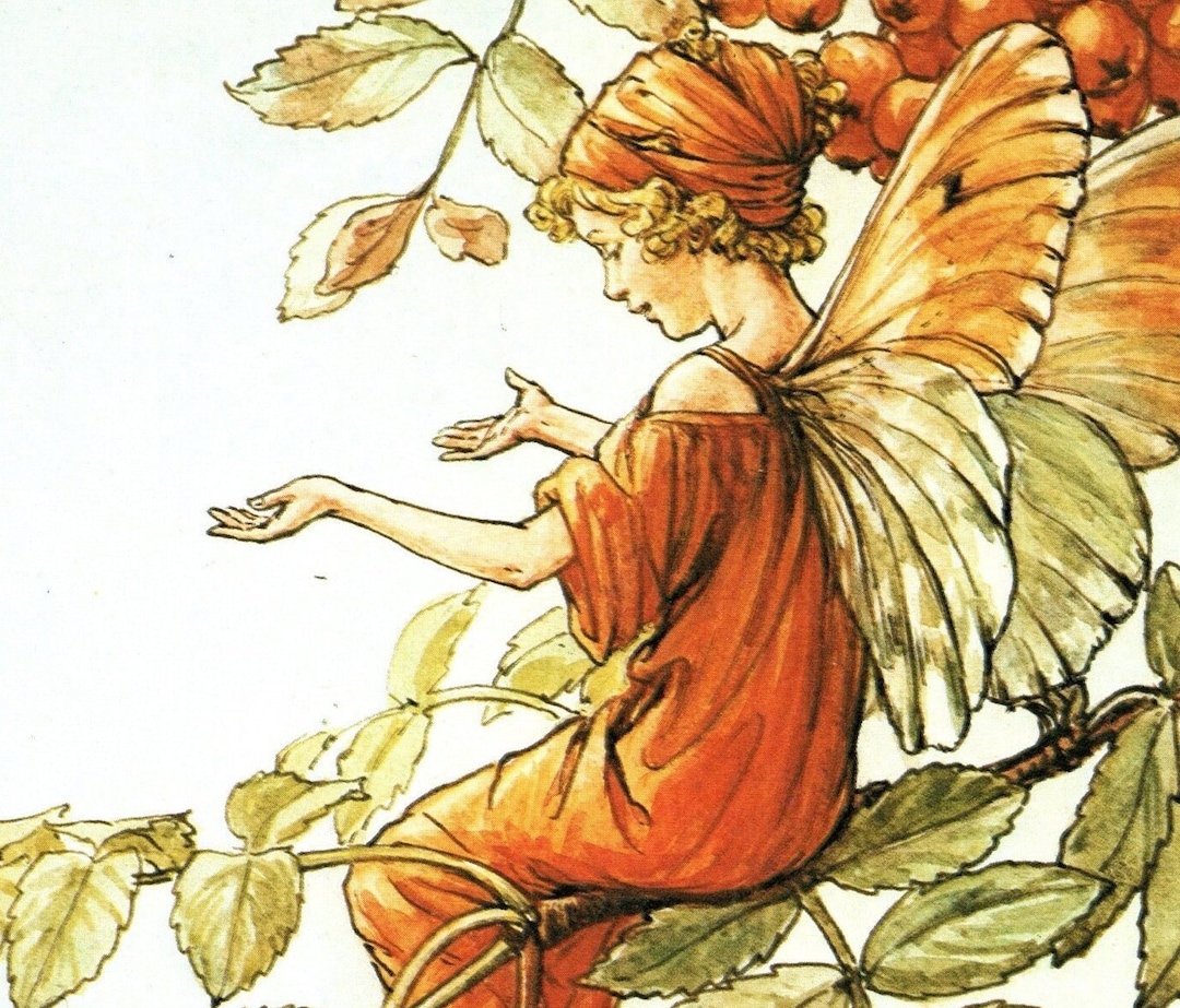 1981 Flower Fairies of the Seasons Original Vintage Print - Cicely Mary ...