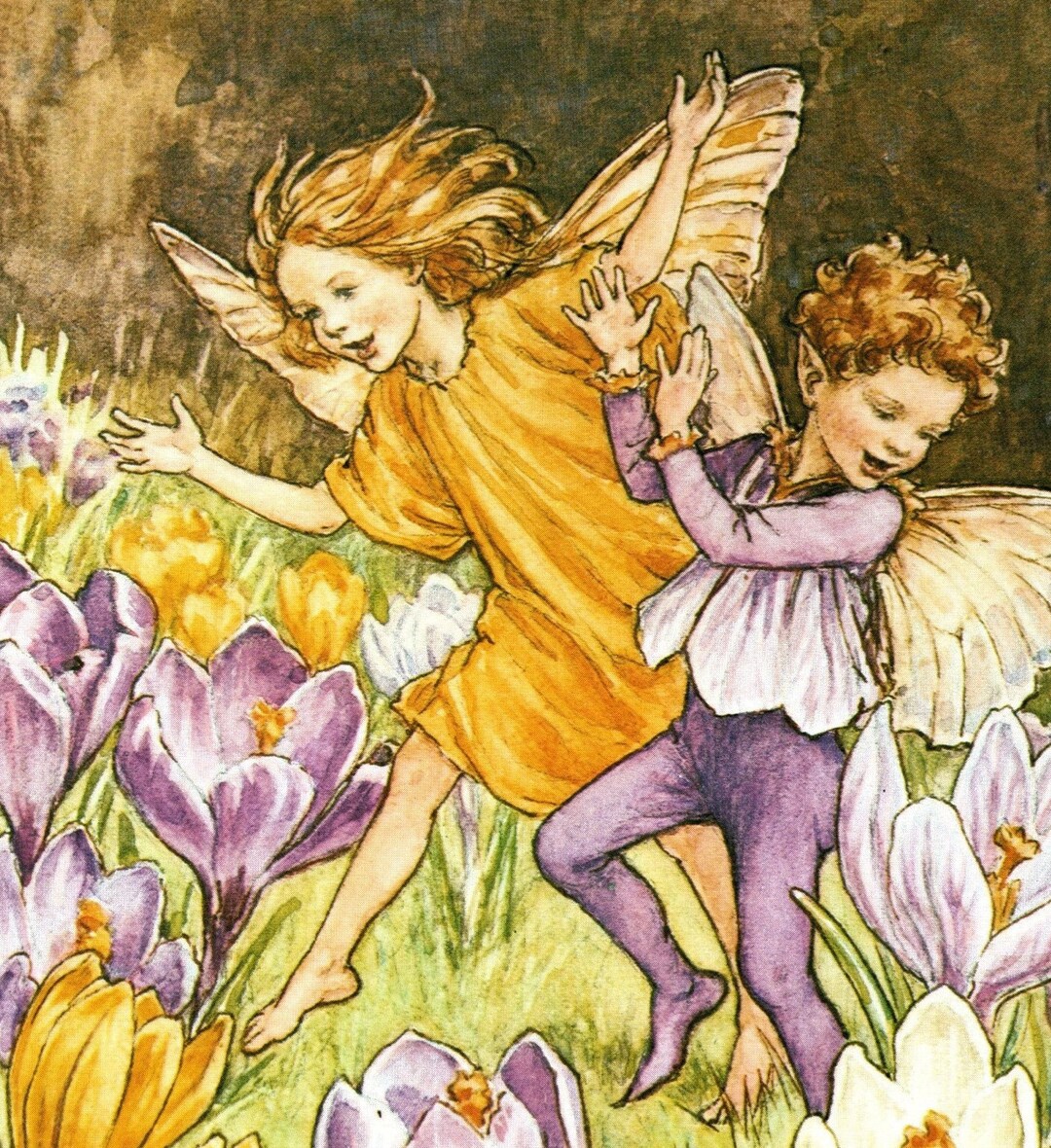 1981 Flower Fairies of the Seasons Original Vintage Print - Cicely Mary ...