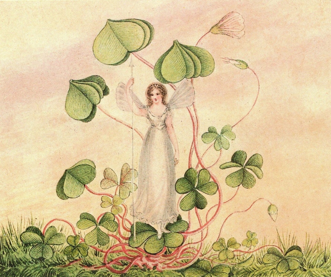 Victorian Fairies Original Print Amelia Jane Murray Regency Style Art ...