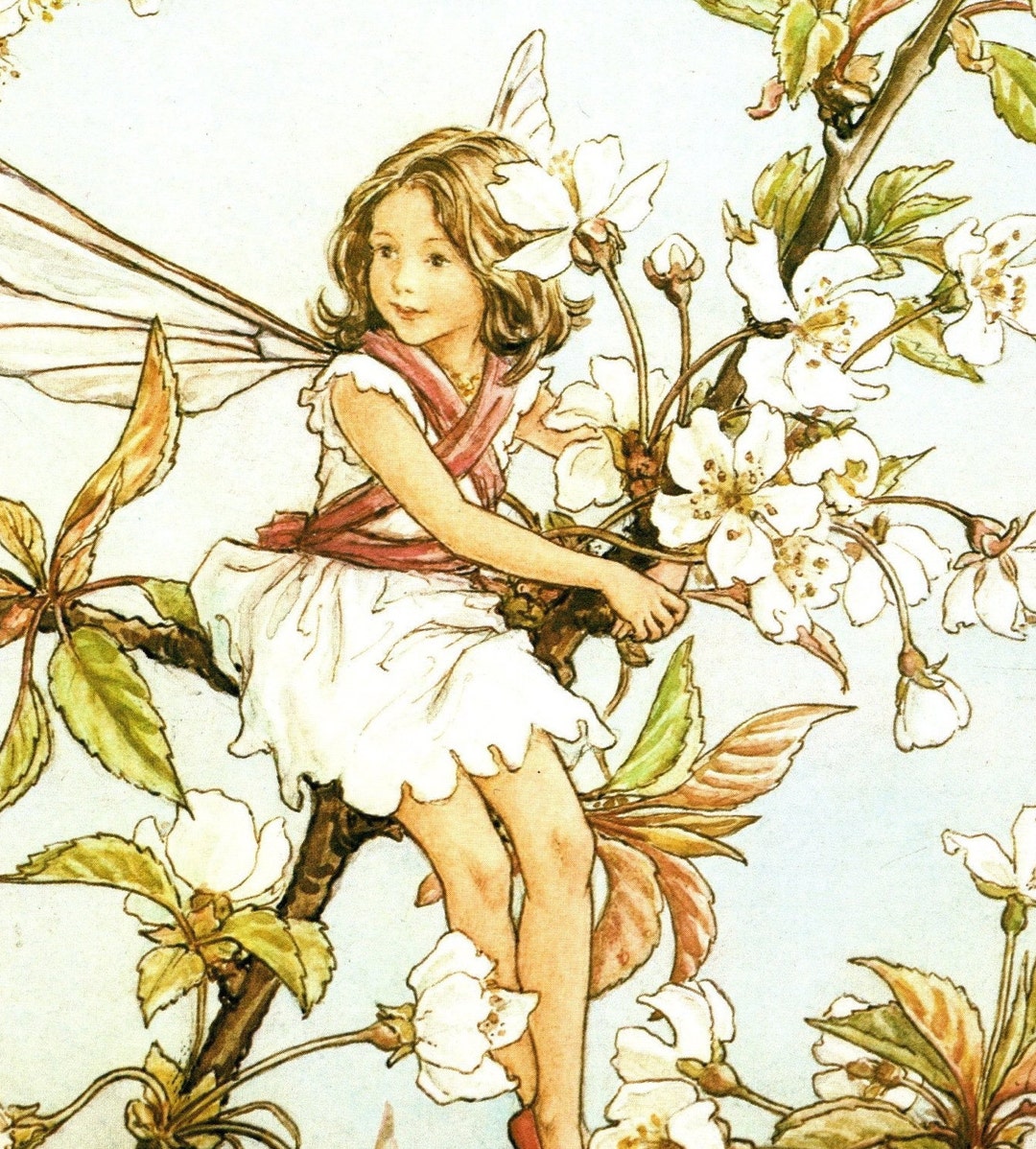 1981 Flower Fairies of the Seasons Original Vintage Print - Cicely Mary ...