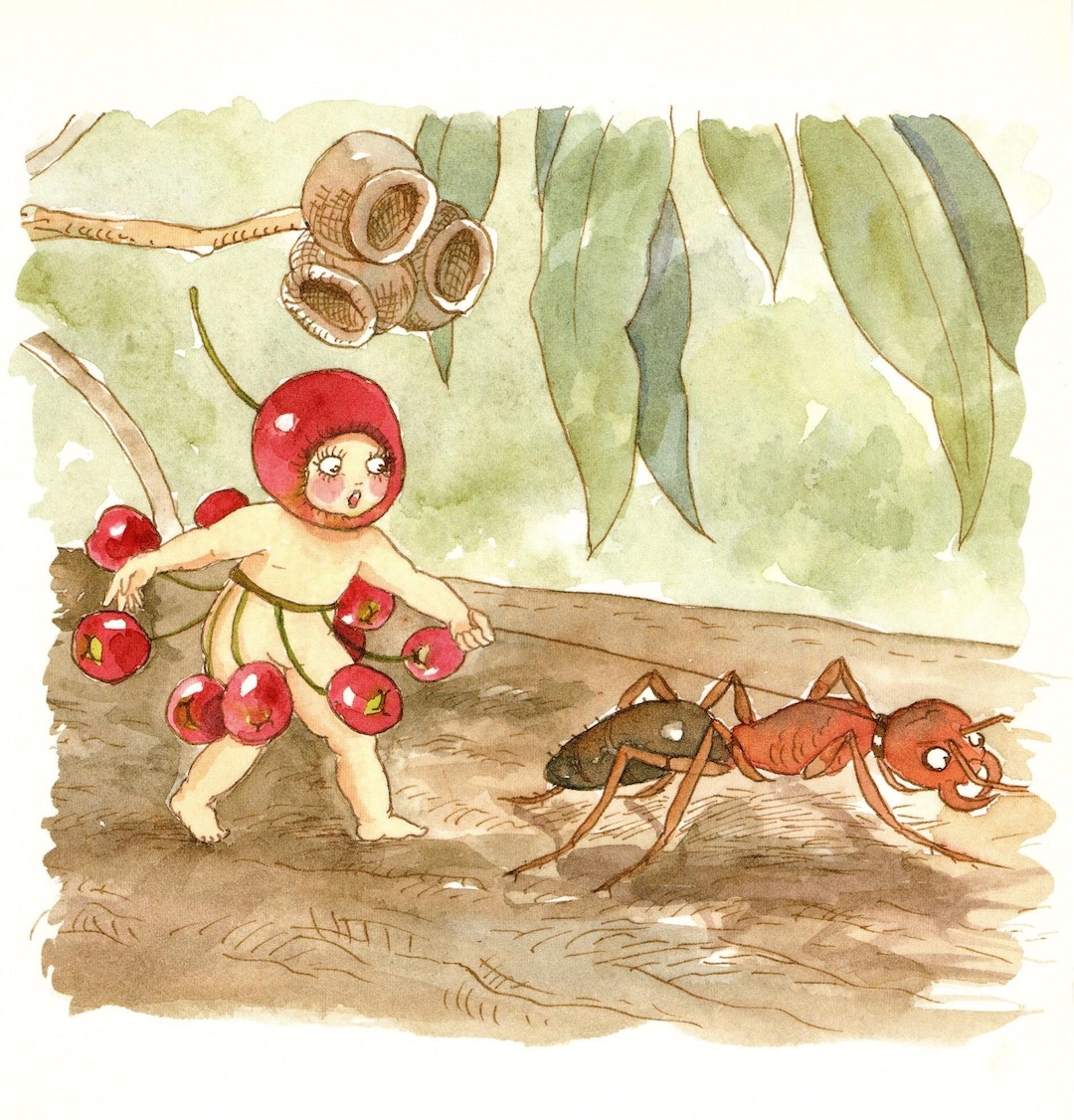 May Gibbs’ Gumnut Babies Original Vintage Print – Snugglepot and ...