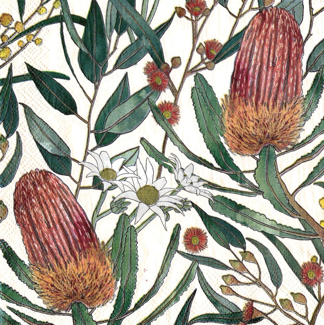 5 Paper Napkins / Serviettes BANKSIA Australian Native Flower for ...