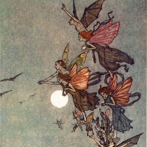 1975 Edmund Dulac Large Original Vintage Print - Shakespeare's Comedy ...