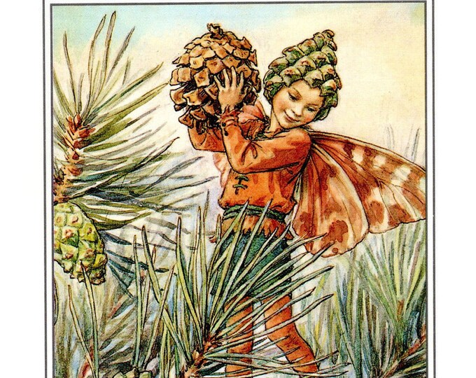 Flower Fairies of the Winter - Cicely Mary Barker - Pine Tree Fairy ...