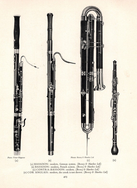 Contrabassoon And Bassoon