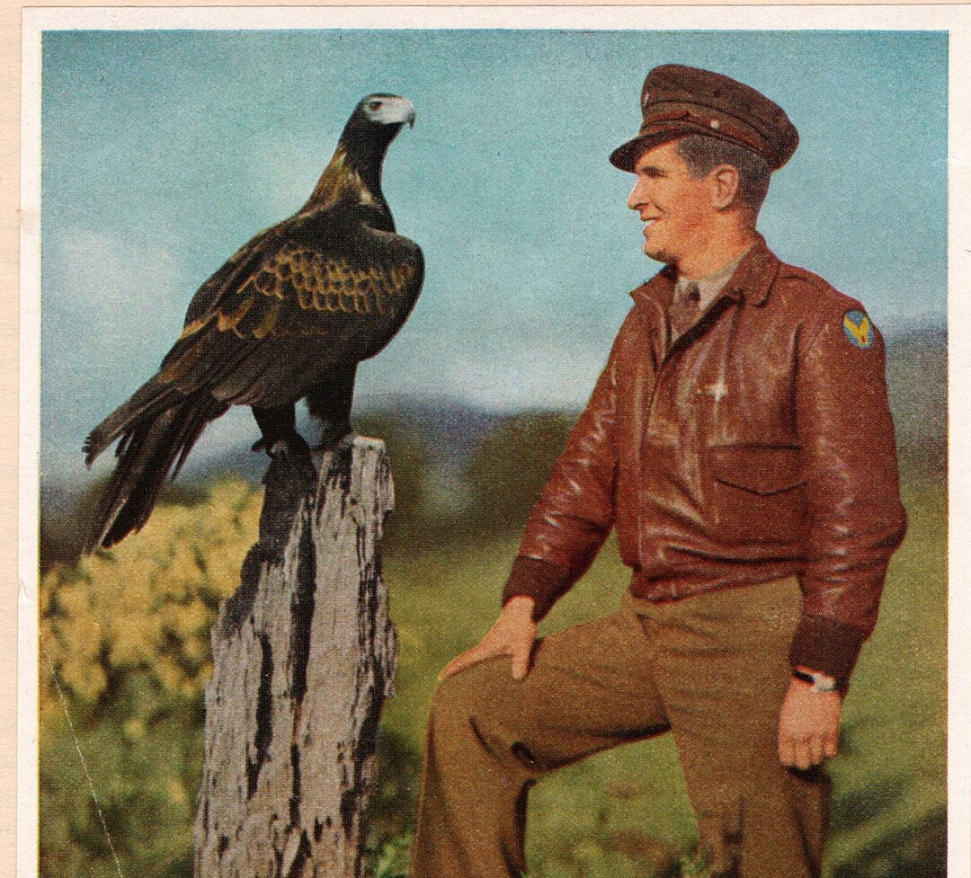 1942 Original WWII RAAF at War Original Print Australian - Etsy Australia