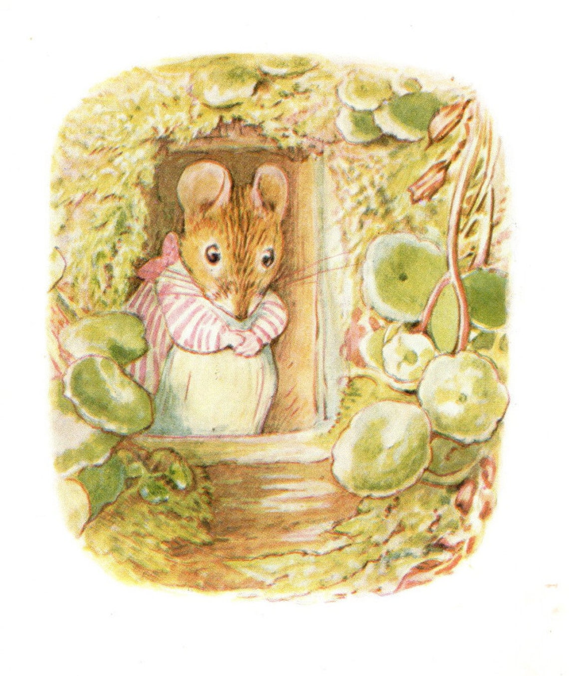 1910 Beatrix Potter the Tale of Mrs Tittlemouse - Etsy