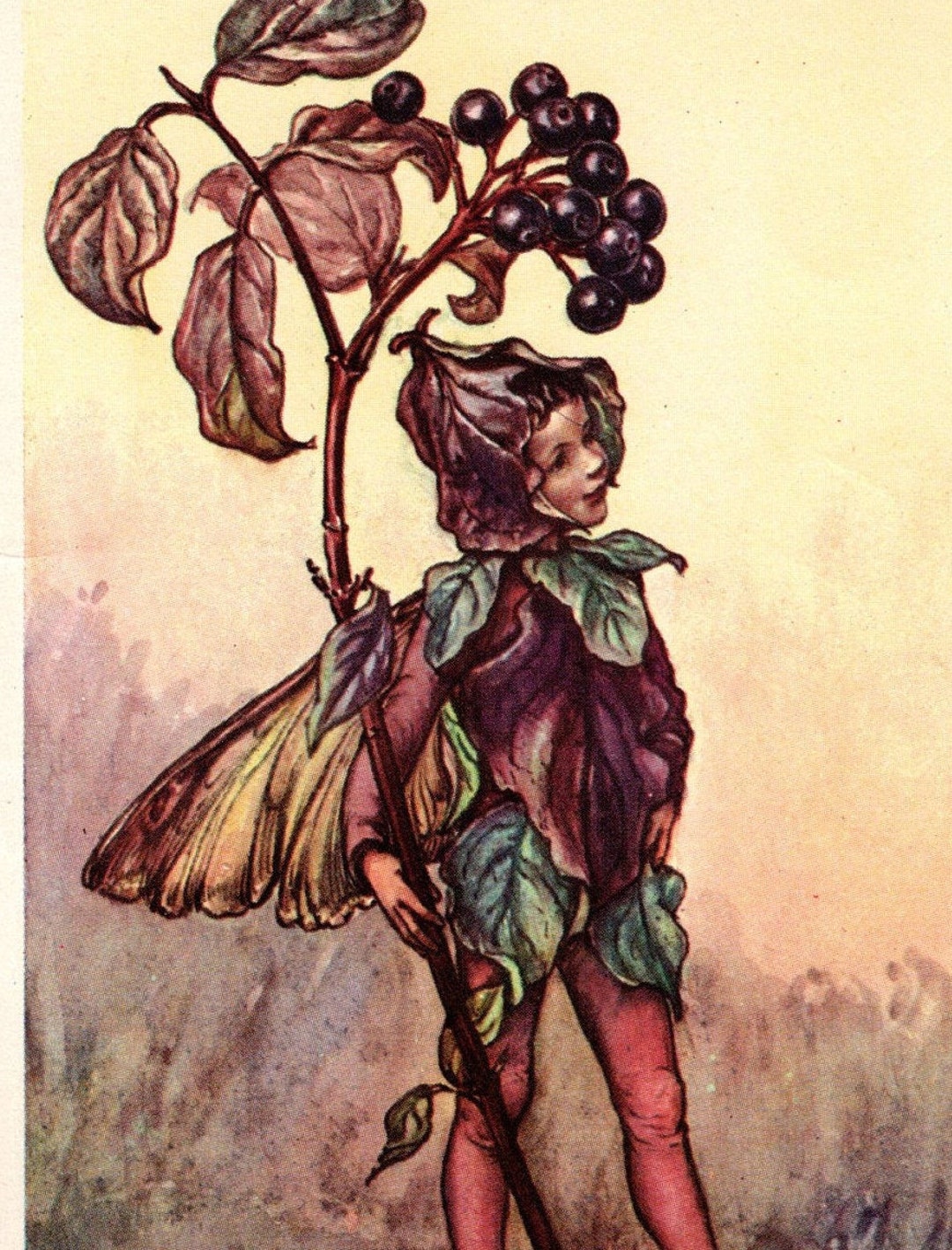 1960 Cicely Mary Barker flower Fairies of the Autumn the Dogwood Fairy ...
