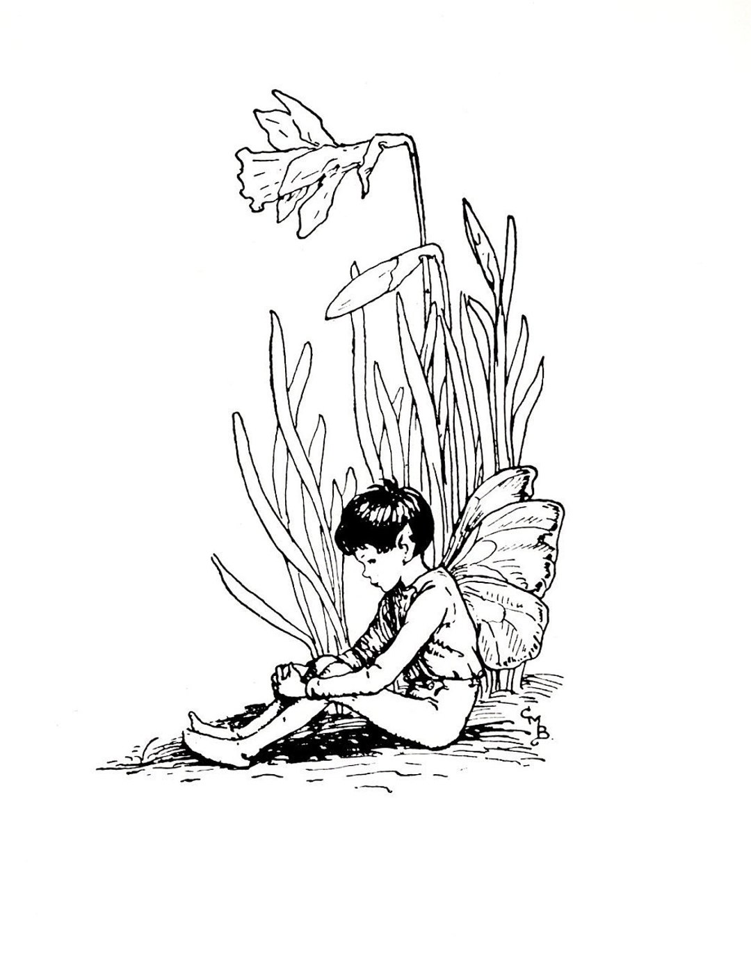 Cicely Mary Barker Flower Fairies Coloring Pages