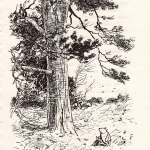 Winnie-the-pooh Original Vintage Print – the House at Pooh Corner ...