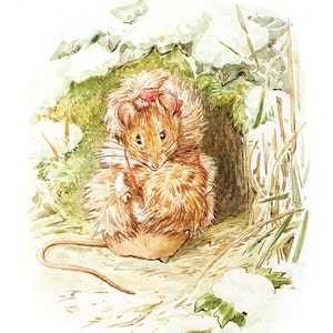 1982 Beatrix Potter Peter Rabbit Adventures Original Large Vintage ...