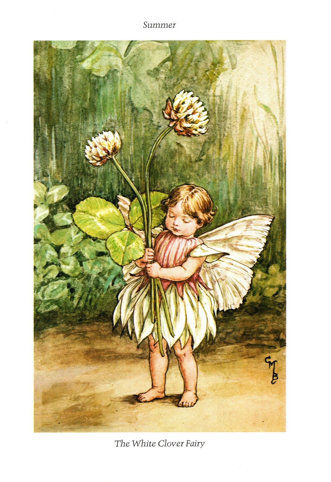 1981 Flower Fairies of the Seasons Original Vintage Print - Cicely Mary ...